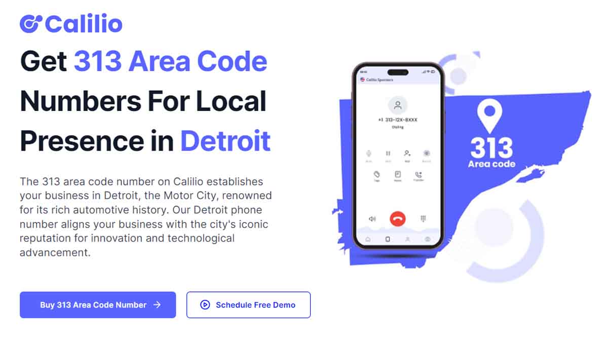 313 Area Code: Get local Detroit, MI Phone Numbers